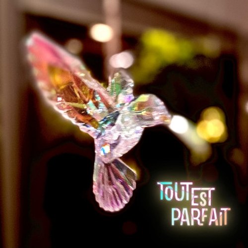 Franco Pop | Stingray Music